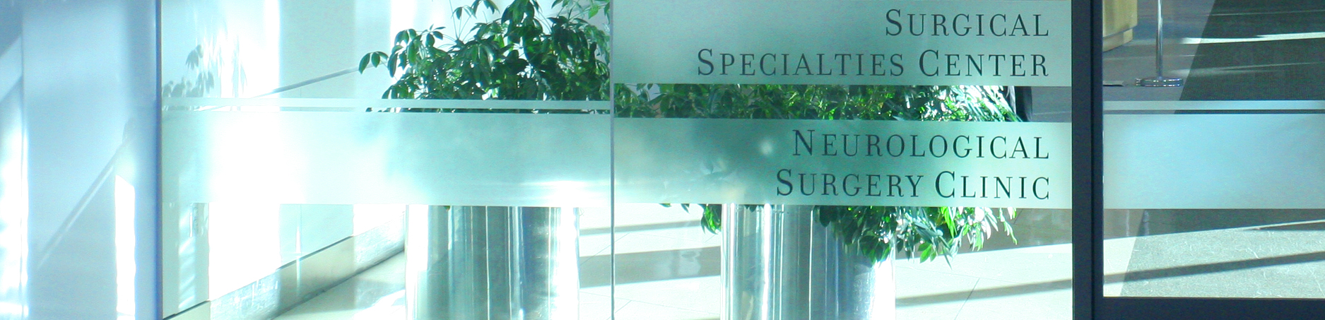 Decompression Surgery for Syringomyelia | UW Department of Neurological ...